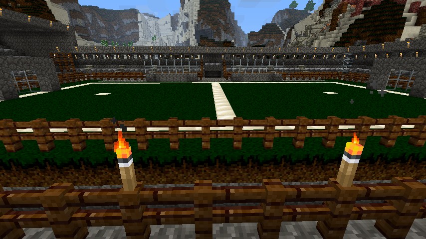 A small Soccer Stadium Minecraft Map
