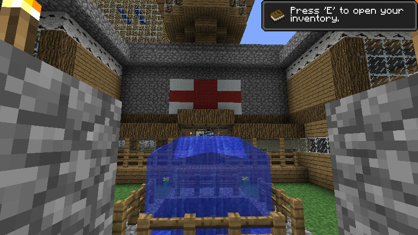 Acorn Ville/Town/InsaneAcorn Minecraft Map