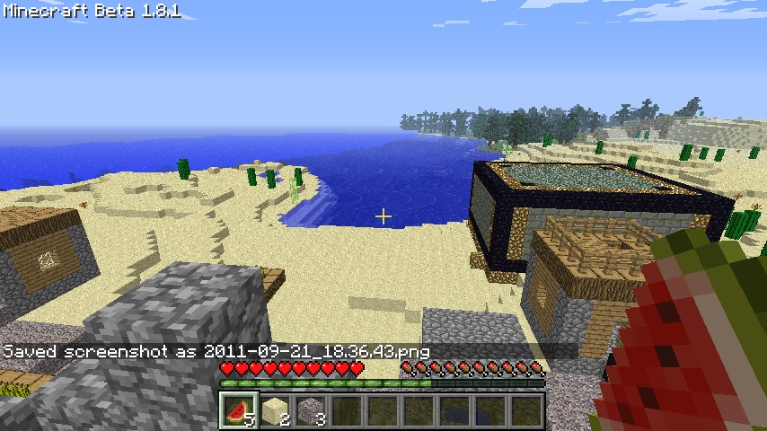 NPC Village + my house Minecraft Map