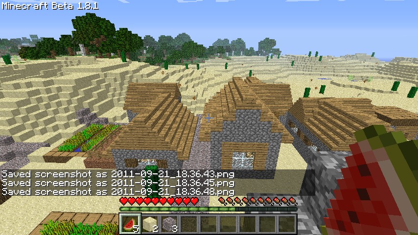 NPC Village + my house Minecraft Map