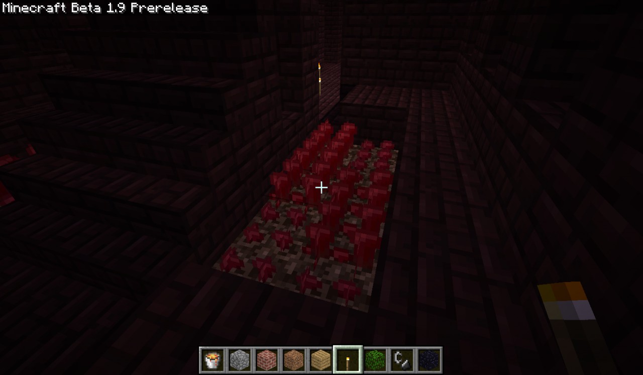 Weird Nether Plants