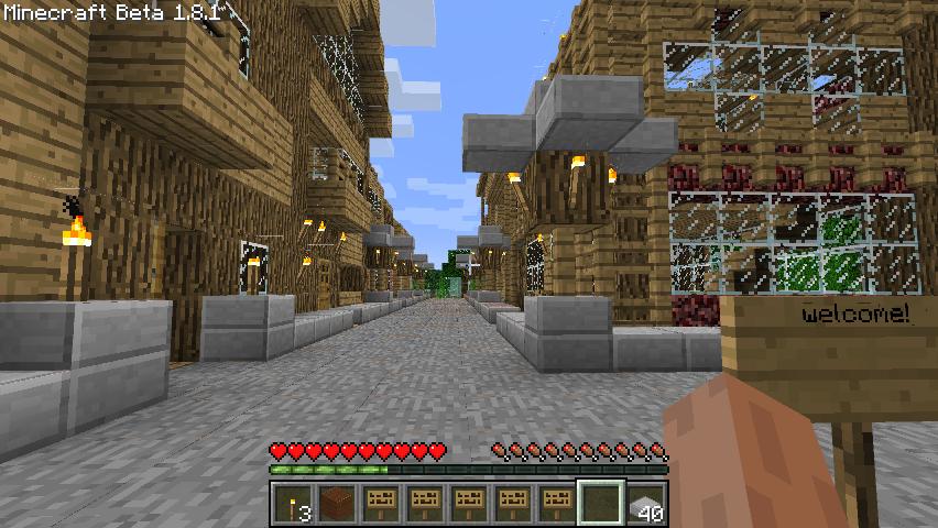 Trading Town Minecraft Map