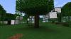 Wool Tree Minecraft Map