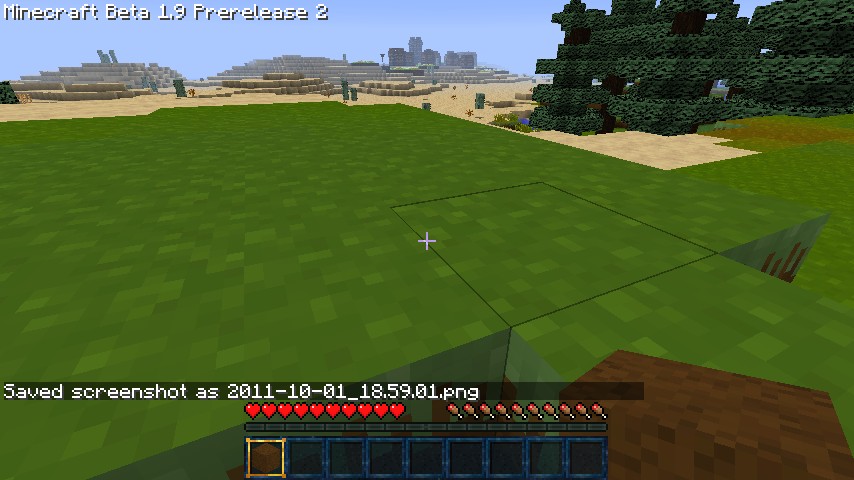 Nintendo Minecraft Map