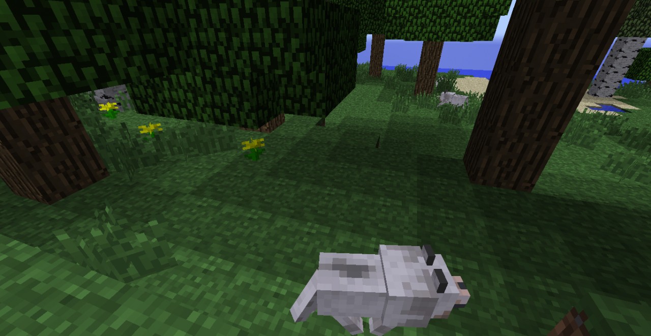 Good place for wolf spawn Minecraft Map