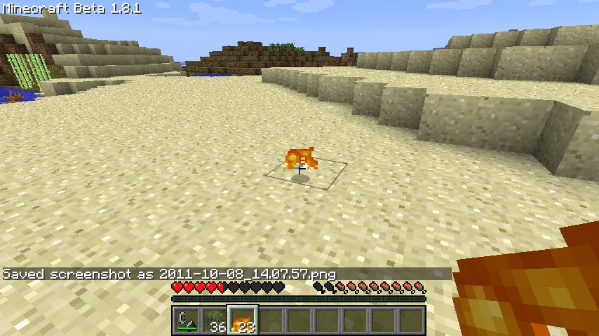 Block Fire!!! Bringing you the fire block and Chain Armor without Hacks ...