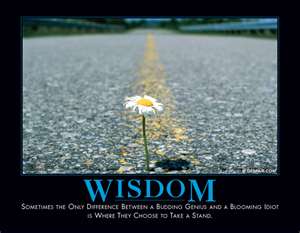 Words of Wisdom List 2