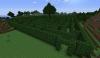 Hedge maze Minecraft Map