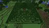 Hedge maze Minecraft Map