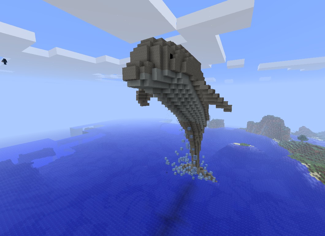 DOLPHIN! Minecraft Project