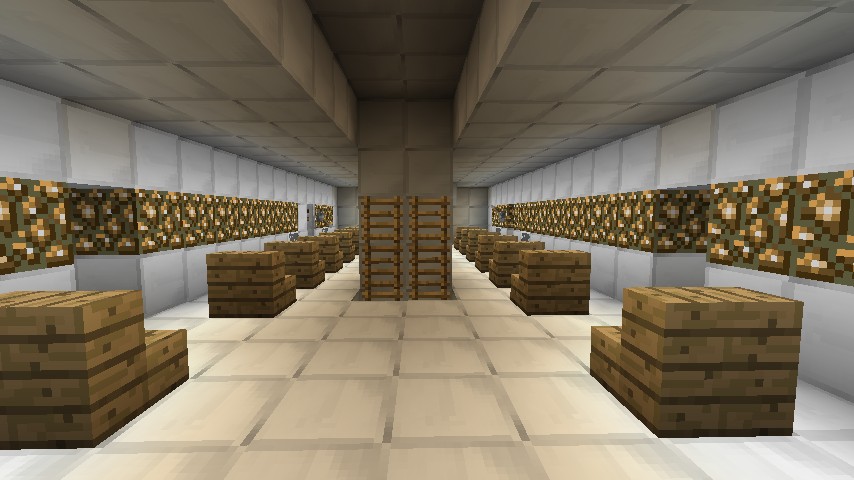 Space shuttle Minecraft Map