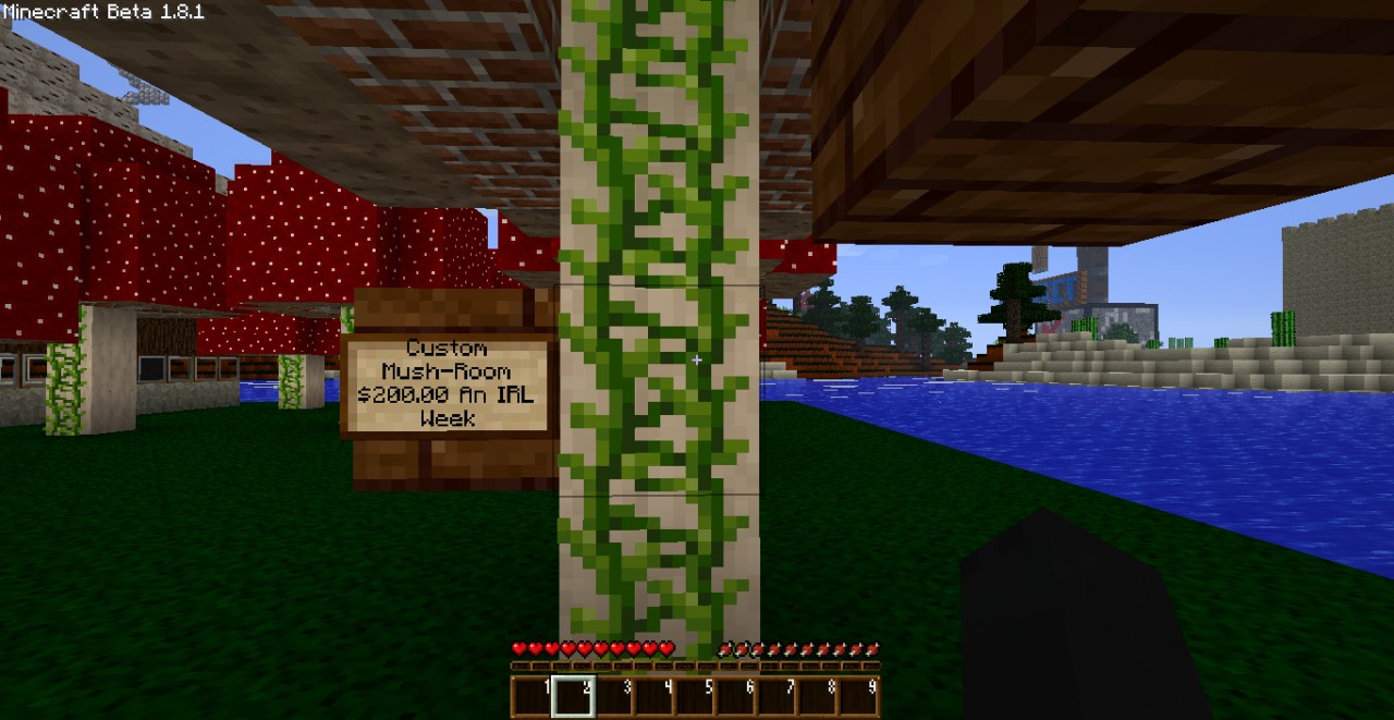 The Mush-Rooms Minecraft Map