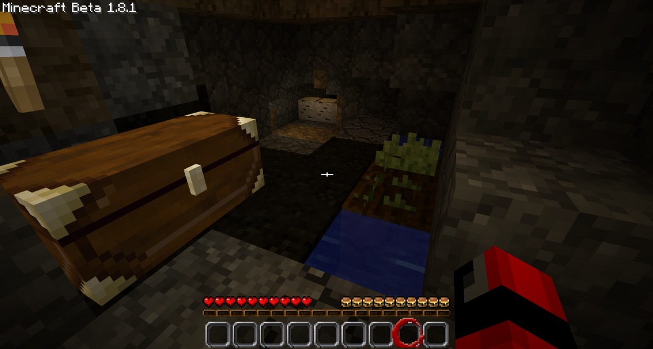 The world you like Minecraft Map