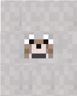 iPod Minecraft Wolf Lock Screen