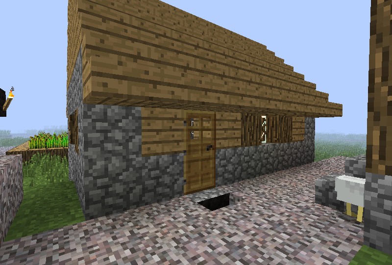 NPC Village Made By Me Minecraft Map