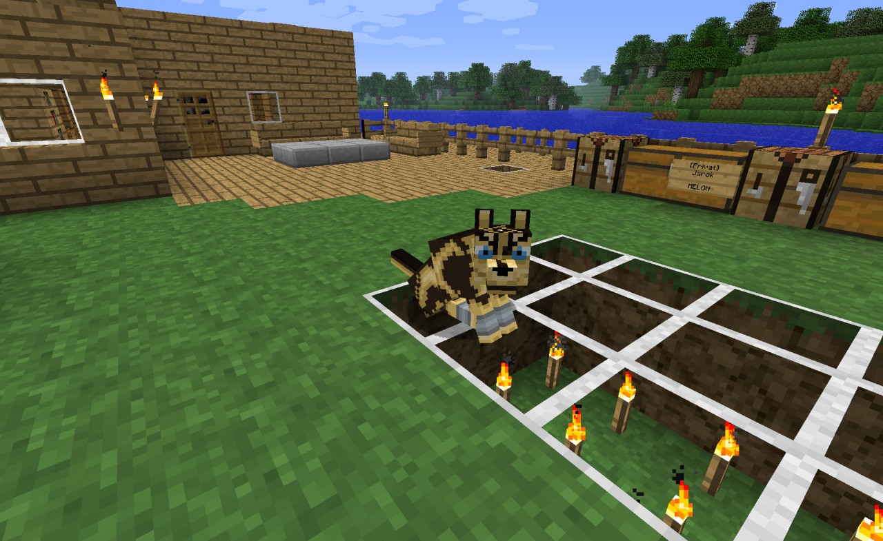 XOX'ture Minecraft Texture Pack