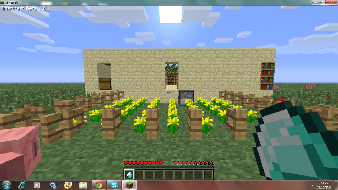 Flat World With A Beatiful Spawn House [ World Save ] Minecraft Map