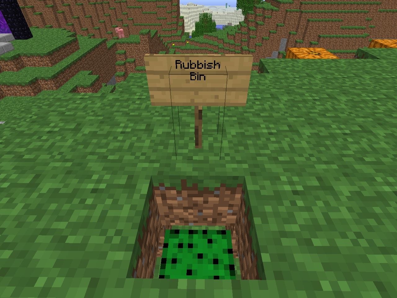 Starter World Minecraft Map