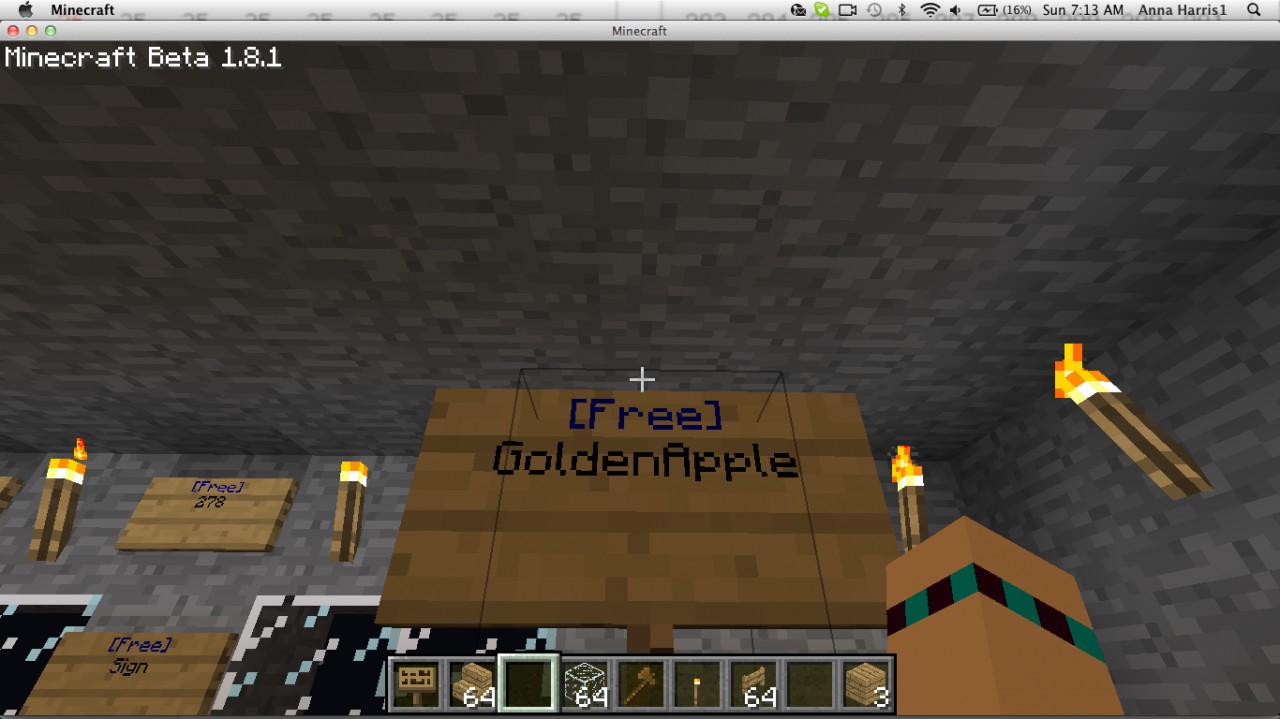 MineCast Craft Minecraft Server