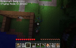 ian craft Minecraft Server