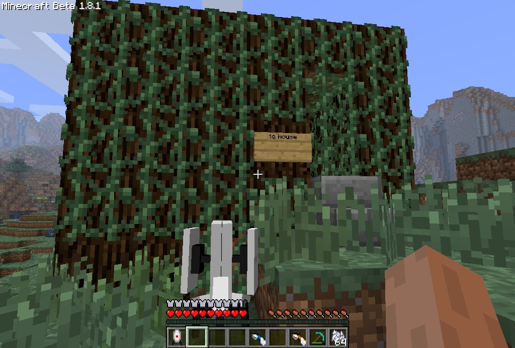 secret house Minecraft Map