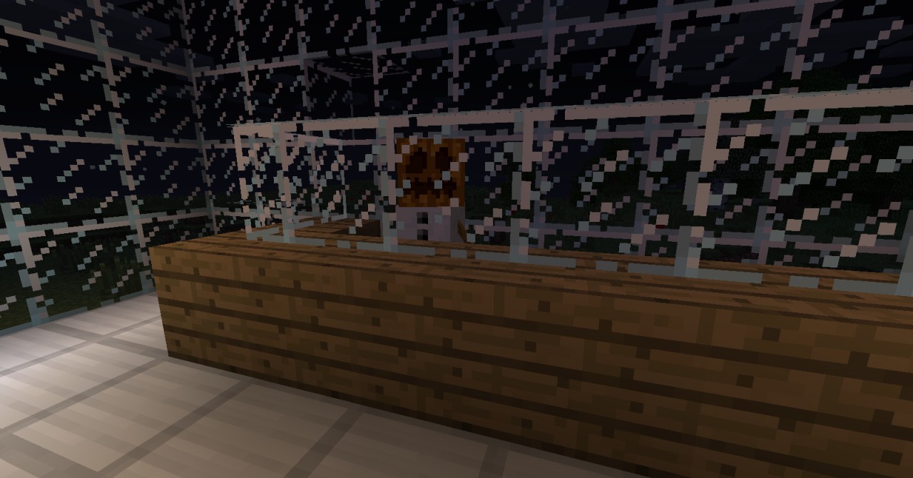 Apple Store Minecraft Map