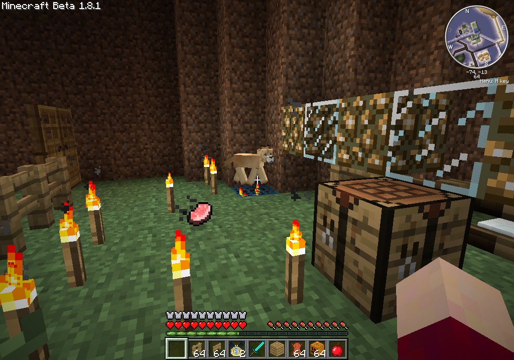 A Mod World Minecraft Map