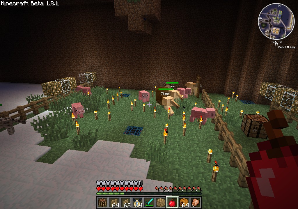 A Mod World Minecraft Map