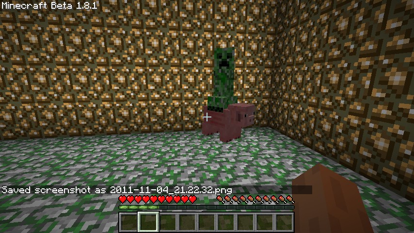 pro mob spawn area Minecraft Map