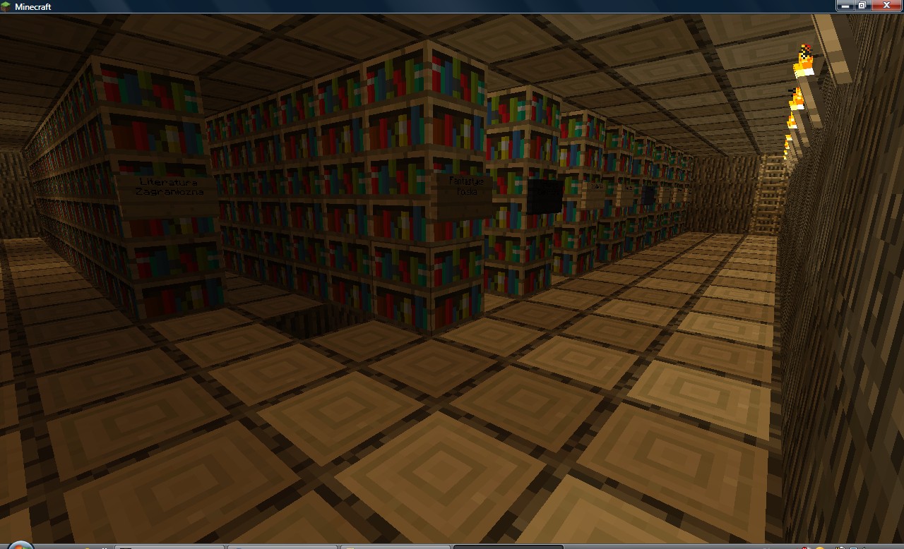 Biblioteka Liberary Minecraft Map
