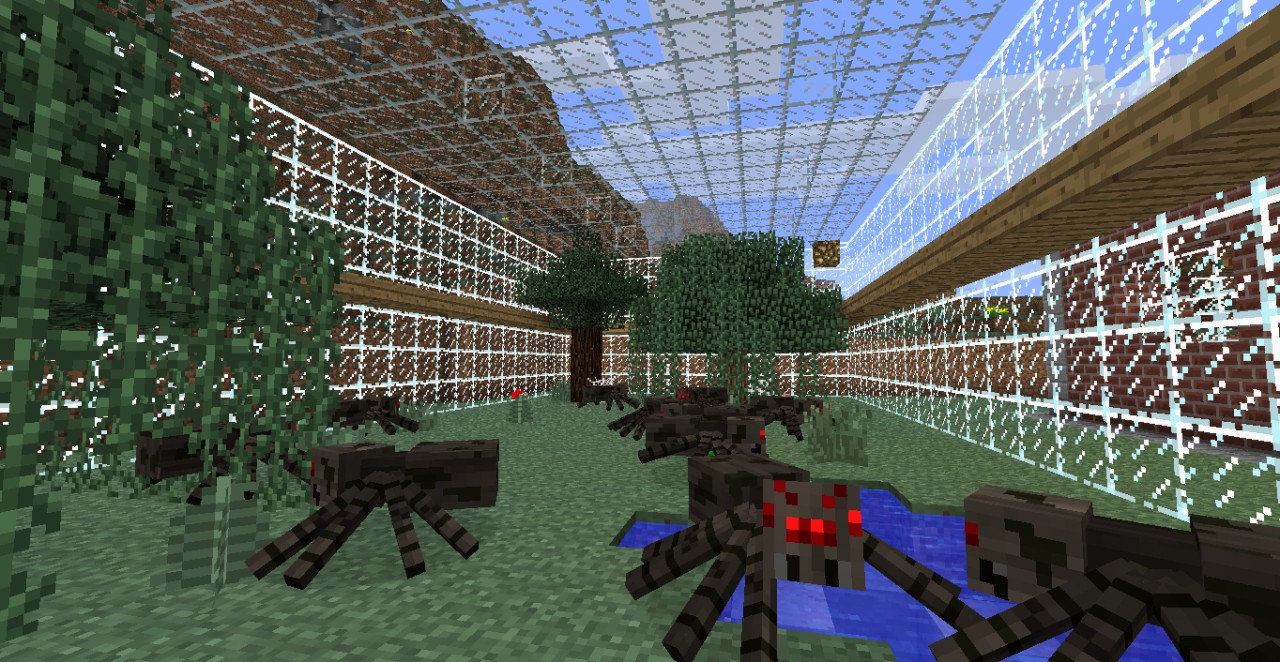 The Friendly Spider Farm Minecraft Map