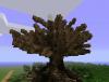 Minecraft Old Tree (2.0) Minecraft Map