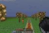 flatgrass big rollercoaster : D Minecraft Map