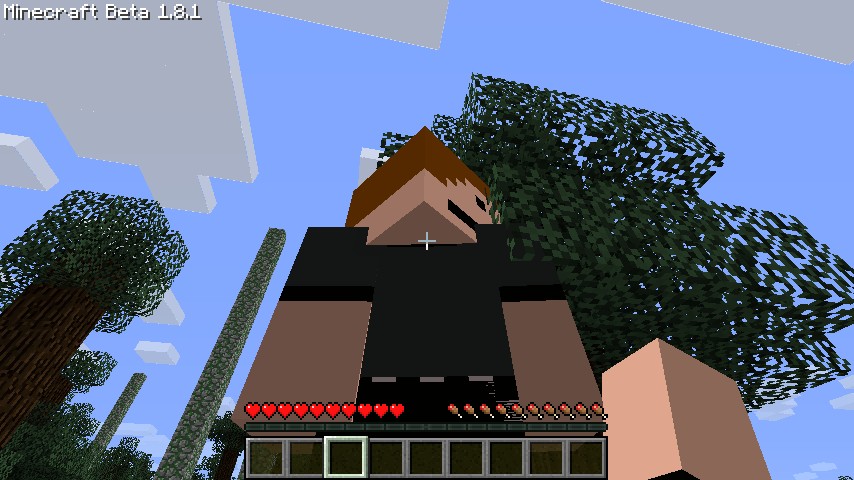 Minecraft Server Project (hamachi) Minecraft Map