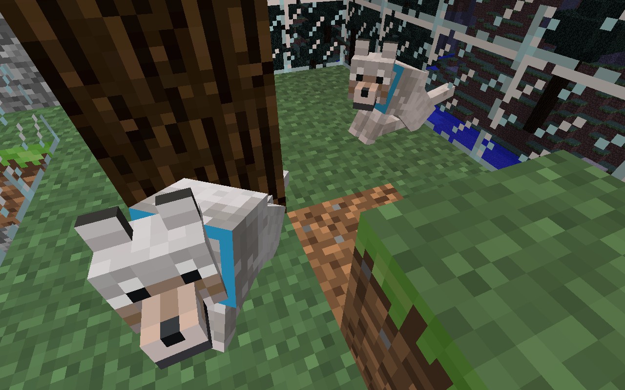 Large House Minecraft Map