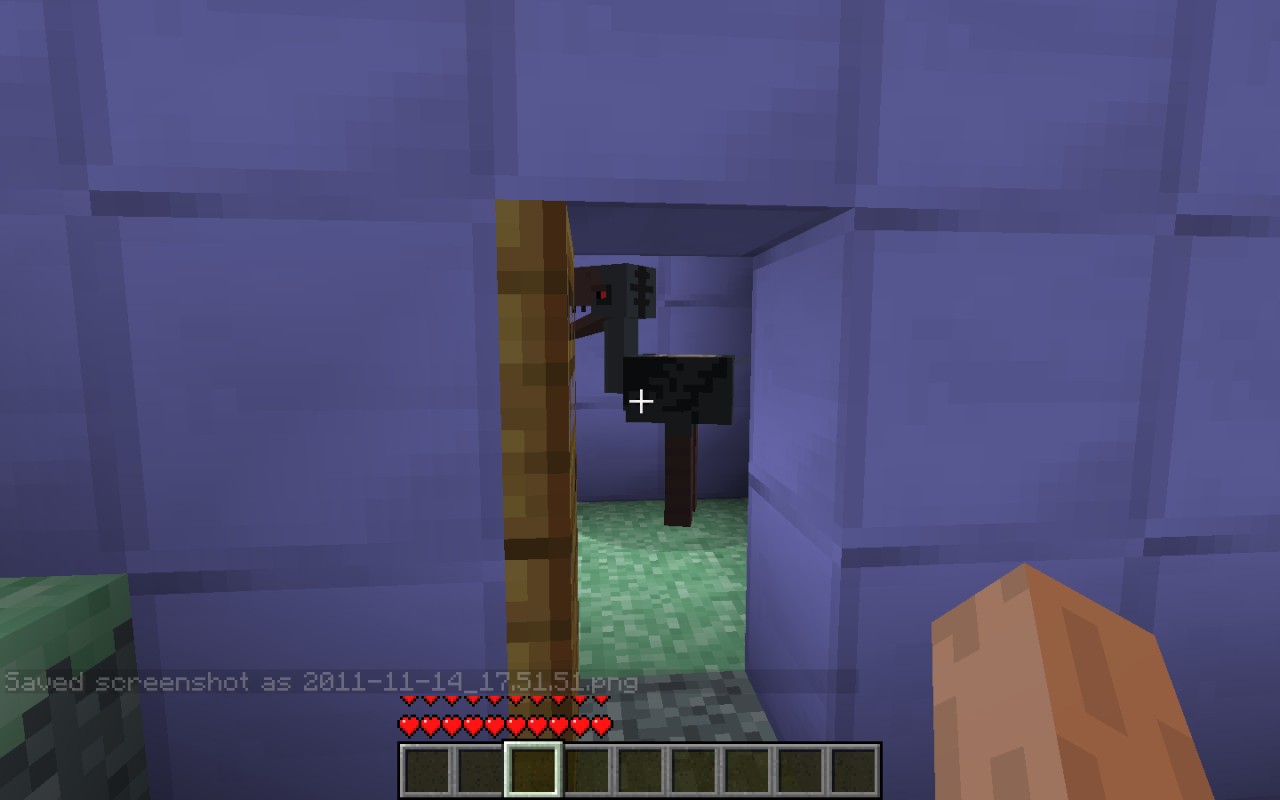 My Aether house with loot and black tamed moa! Read description ...