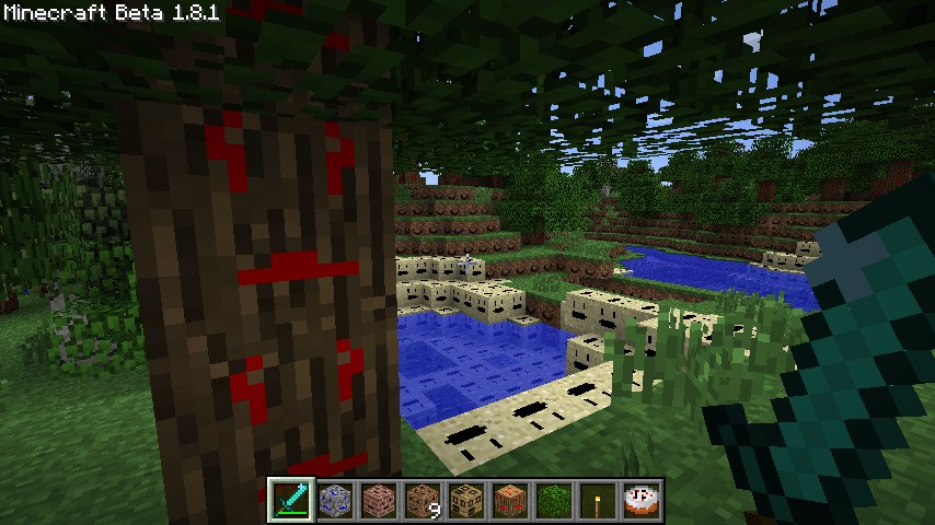 FaceCraft Minecraft Texture Pack