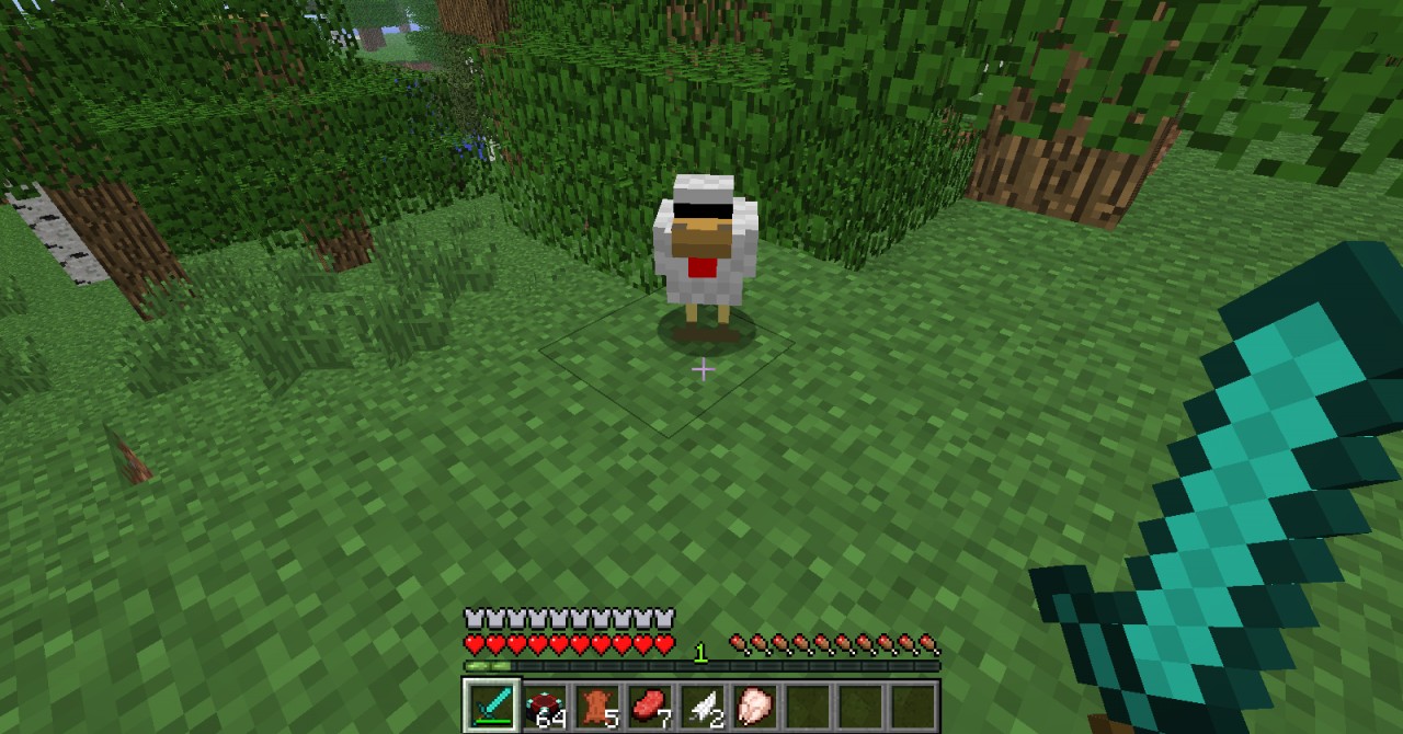 SPY CHICKENS!!!!! version 1 Minecraft Texture Pack