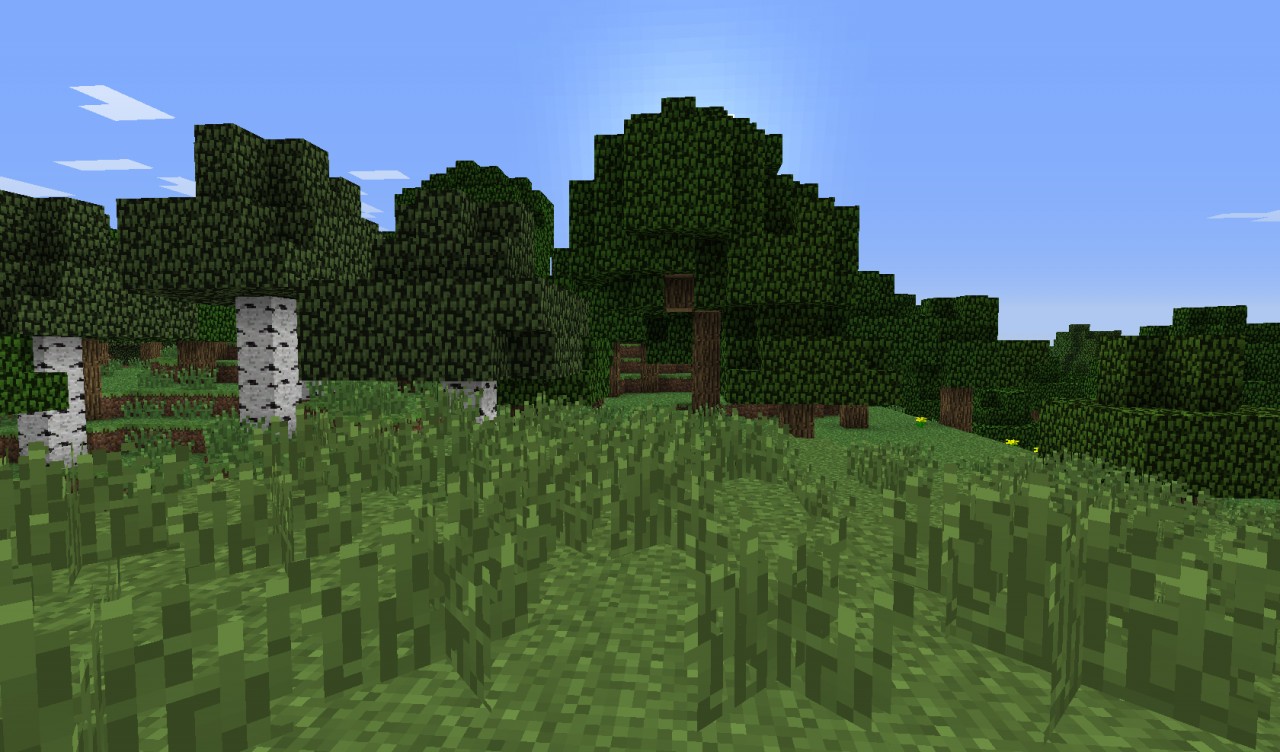 Forest and Shrubland Minecraft Map