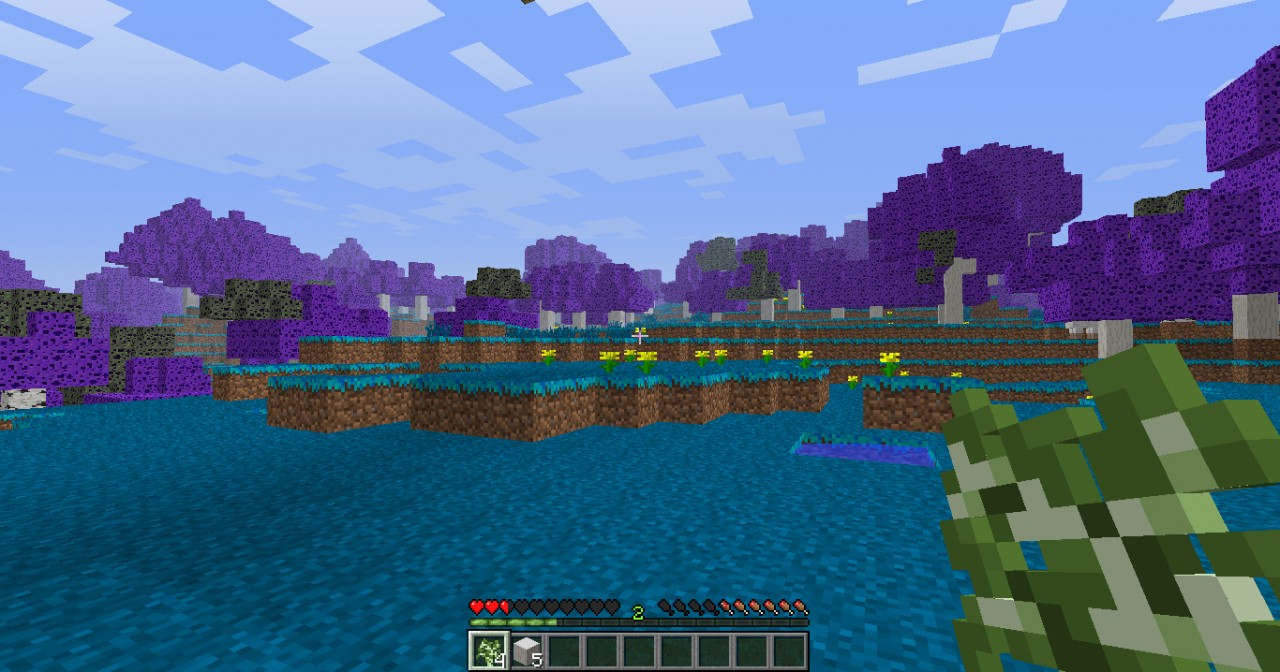 Confusion! Minecraft Texture Pack