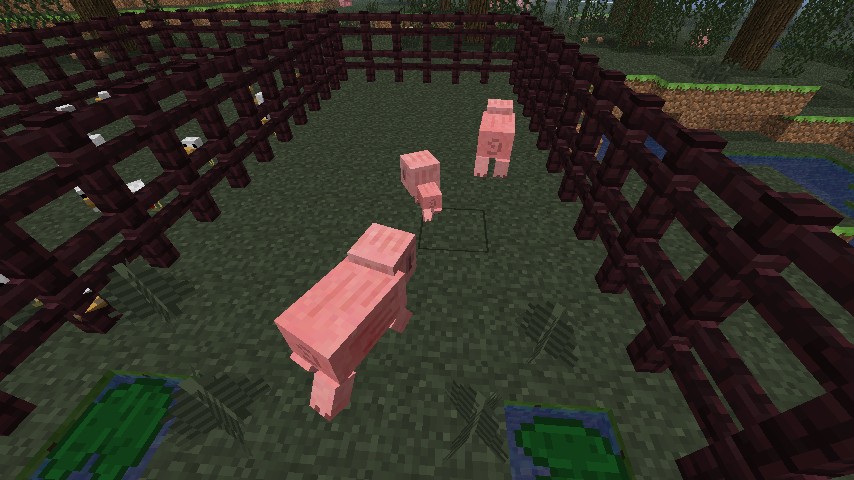 BABIES Minecraft Map