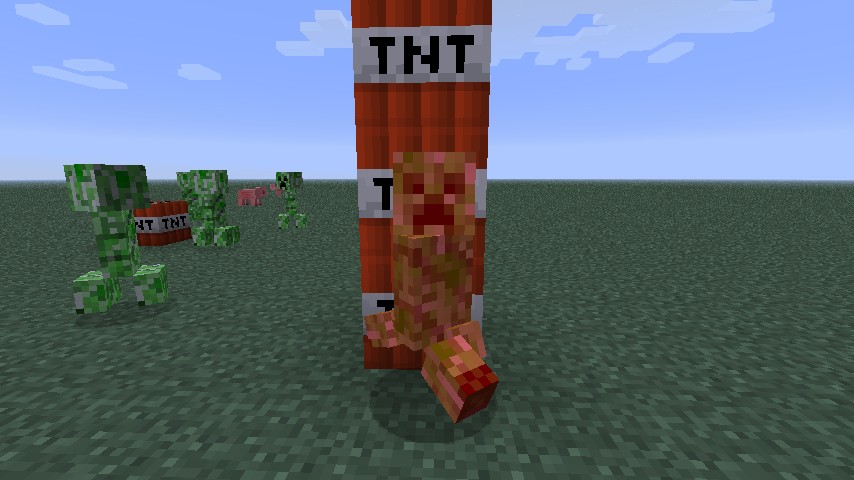 Flat Map Minecraft Map