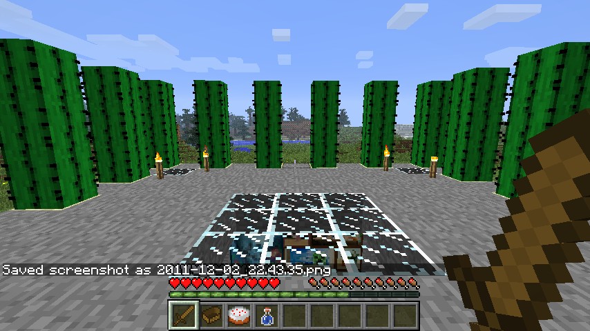 Starter home Minecraft Map