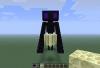 Enderman Model Minecraft Map