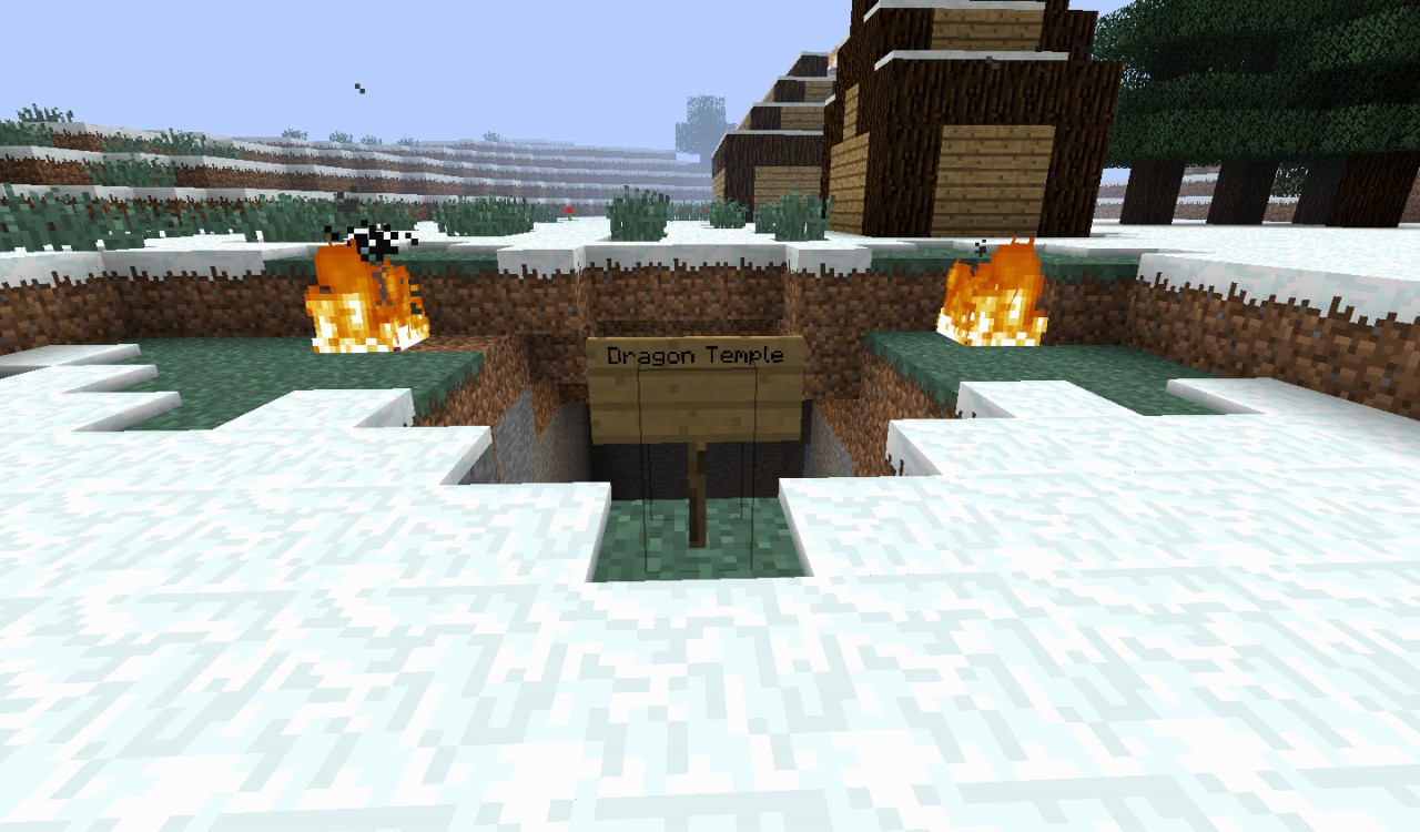 Druid Camp Minecraft Map