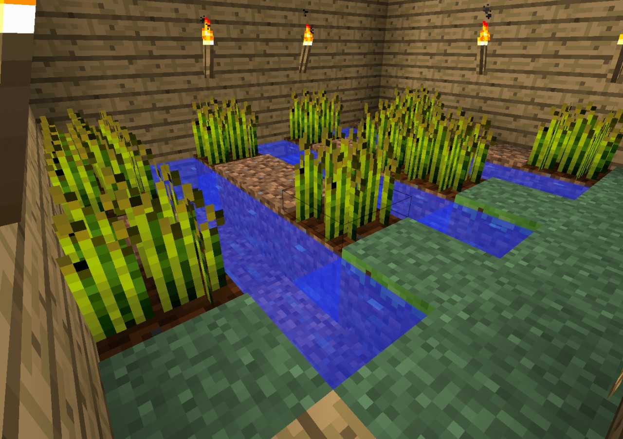 Noob world Minecraft Map