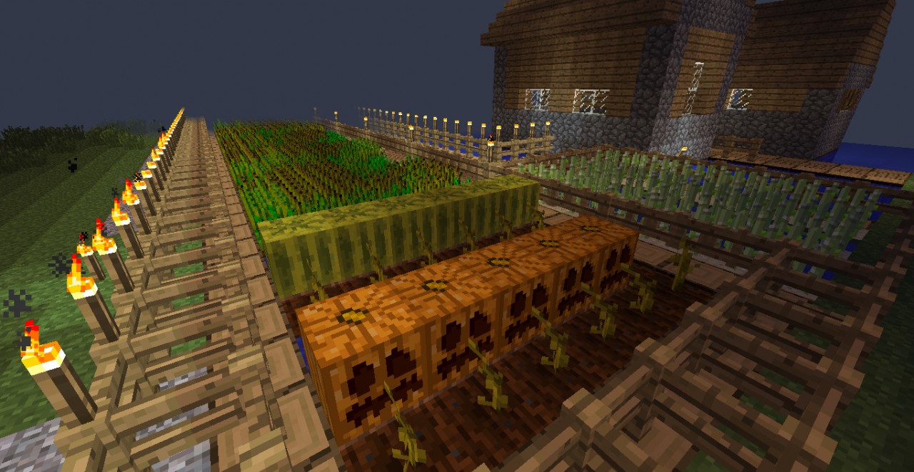 pirate village Minecraft Map