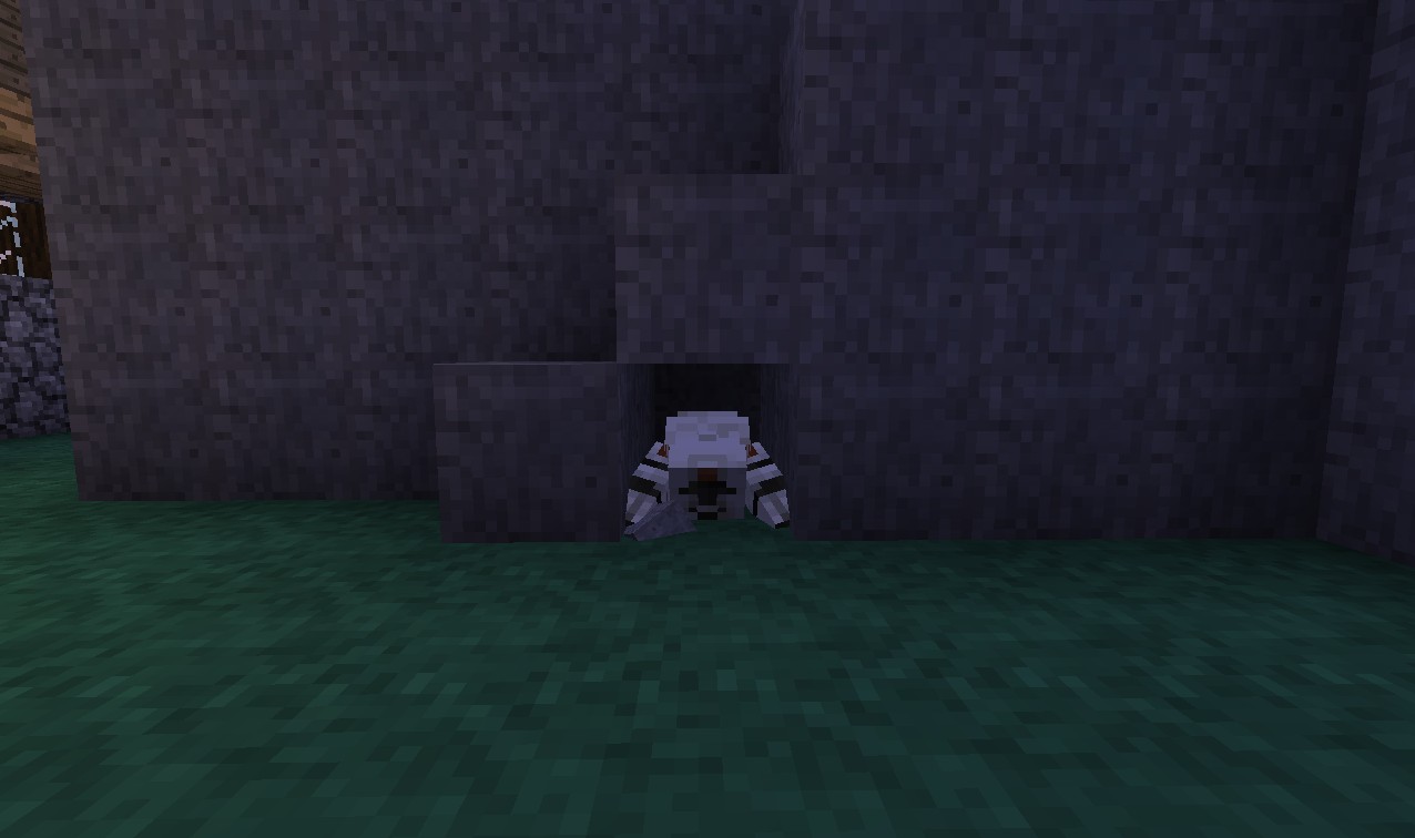 the epic loot mission (my first project) Minecraft Map