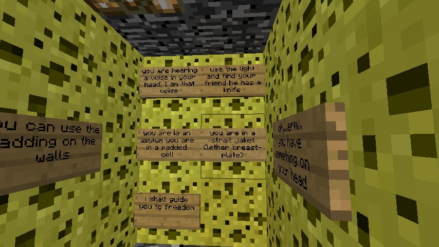 madness Minecraft Map