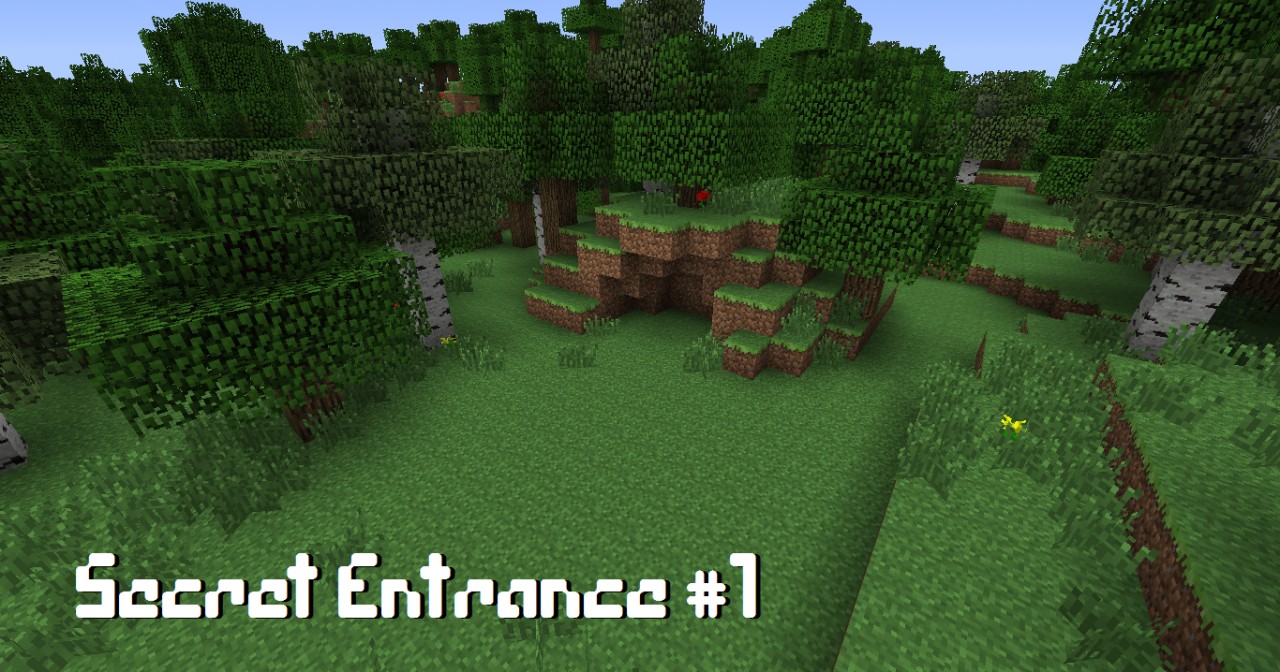 Secret Entrance #1 Minecraft Map